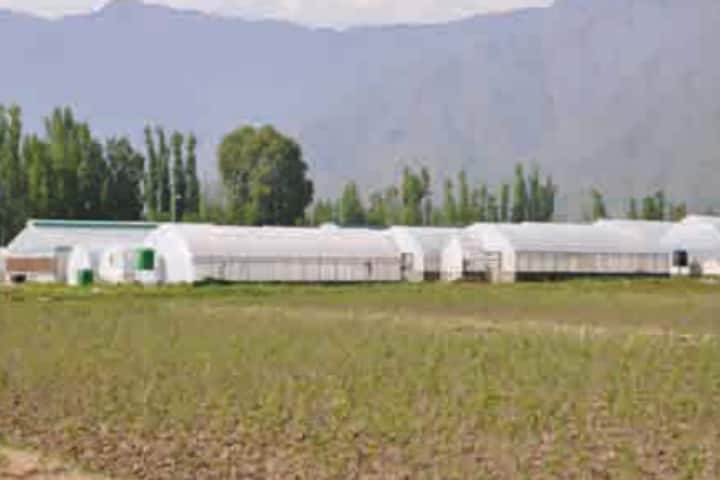 Sher-e-Kashmir University of Agricultural Sciences and Technology of ... Sher-e-Kashmir University of Agricultural Sciences and Technology of ...