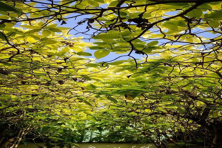 Hyderabad Institute of Technology and Management (HITAM) Medchal ...