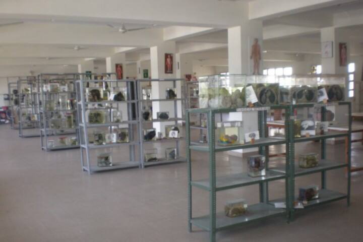 Dr Rajendra Prasad Government Medical College, Tanda: Admission 2021 ...