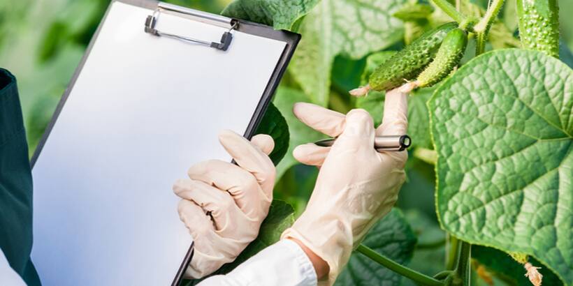 Agricultural Inspector - Career, Role, Education, Jobs & Salary