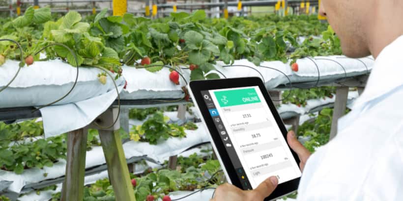 How to Become a Natural Sciences Manager - Salary, Qualification ...