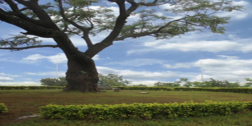 Interesting Facts about IIM Indore