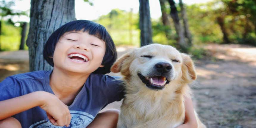 My Dog Essay - 100, 200, 500 Words