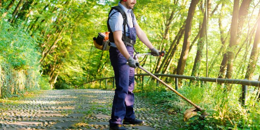 IFoS Full Form - What is the full form of IFoS?