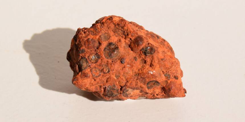 SIAL Full Form - What is the full form of SIAL?