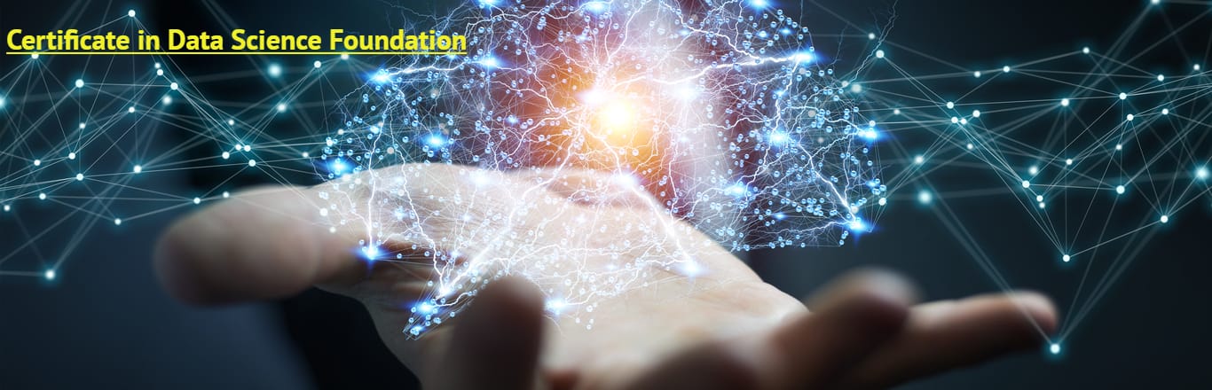 Certificate in Data Science Foundation by International School of AI ...