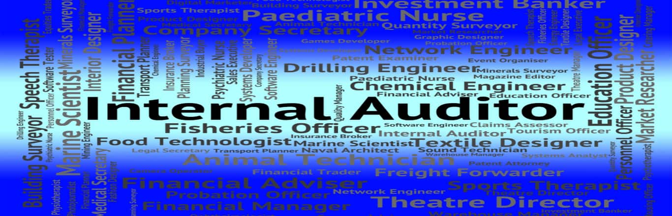 Certified Internal Auditor for IATF 16949, CSR & Core Tools by Udemy ...