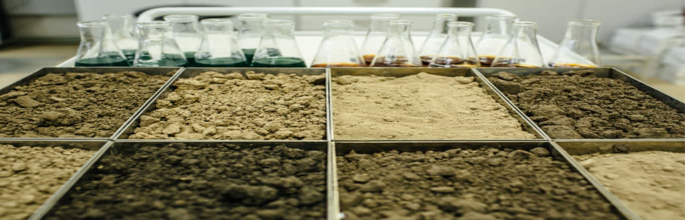 Basics of Soil Science by Udemy: Fee, Duration, How to Apply