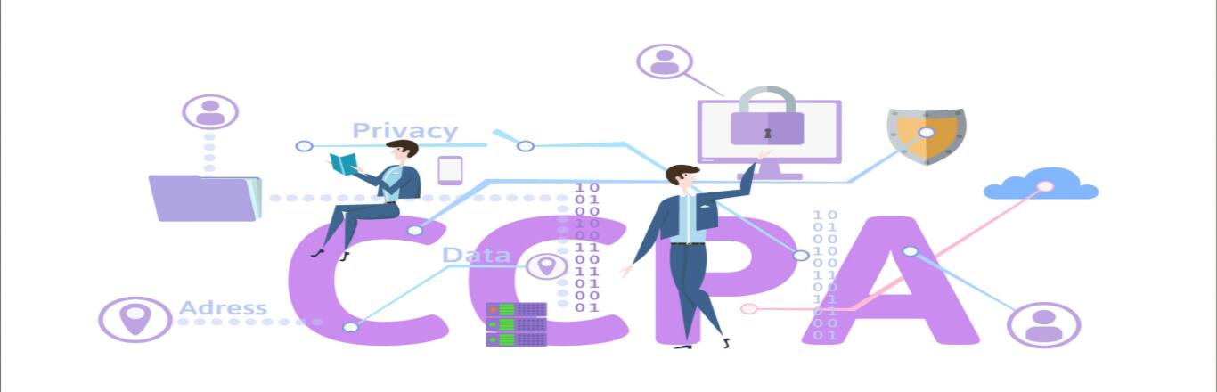 CCPA 101 – Consumer Rights & Business Obligations by Udemy: Fee ...