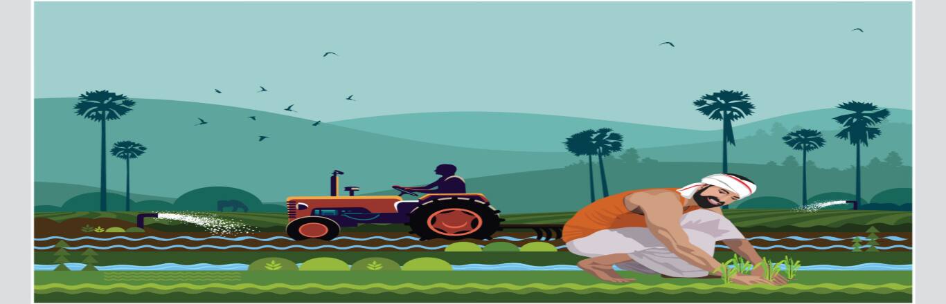 How to Become a Farmer (Beginner's Guide) Farming 101 Basics by Udemy ...