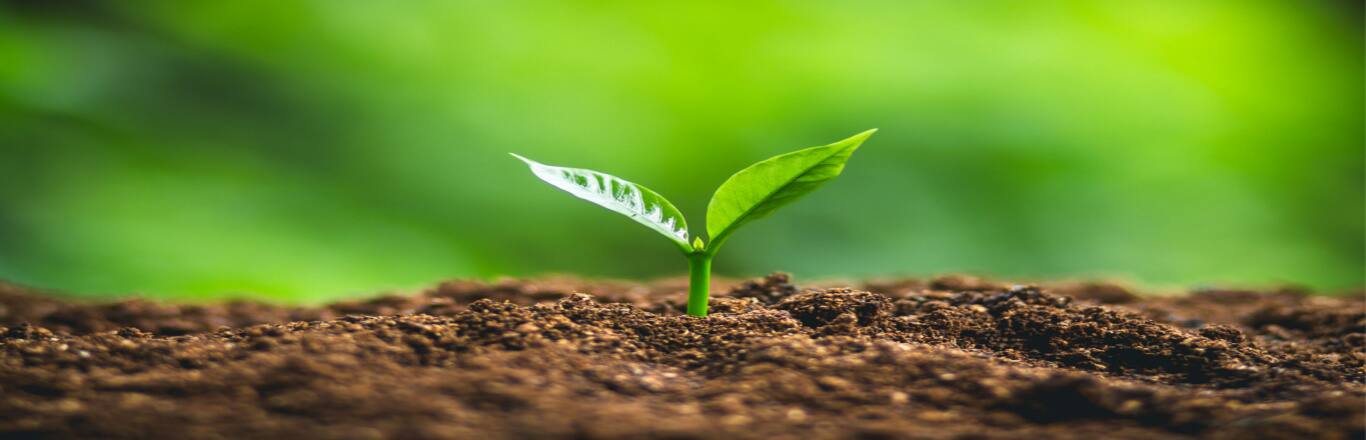 Introduction to Building Better Soils by Udemy: Fee, Duration, How to Apply