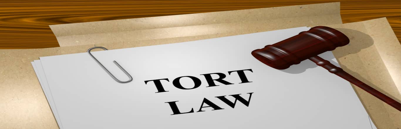 Law of Tort in 90 Minutes: A Fast Track Course by Udemy: Fee, Duration ...