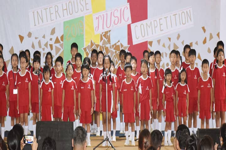 Maple Tree School, Dimapur, Dimapur: Admission, Fee, Affiliation