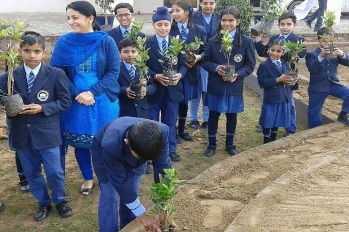 Gurukul, Harike Kalan, Sri Muktsar Sahib: Admission, Fee, Affiliation