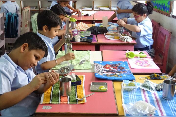 Mayoor School, Ajmer, Ajmer: Admission, Fee, Affiliation
