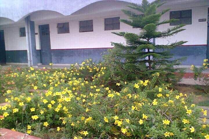 Jawahar Navodaya Vidyalaya, Gajokhar, Varanasi: Admission, Fee, Affiliation