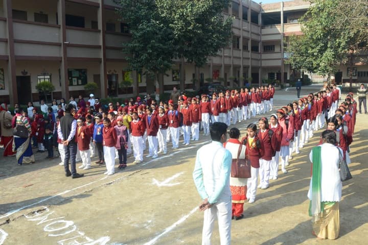 Red Rose Public School, Rohana, Muzaffarnagar: Admission, Fee, Affiliation