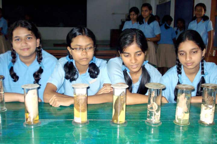 Loreto Convent, Doranda, Ranchi: Admission, Fee, Affiliation