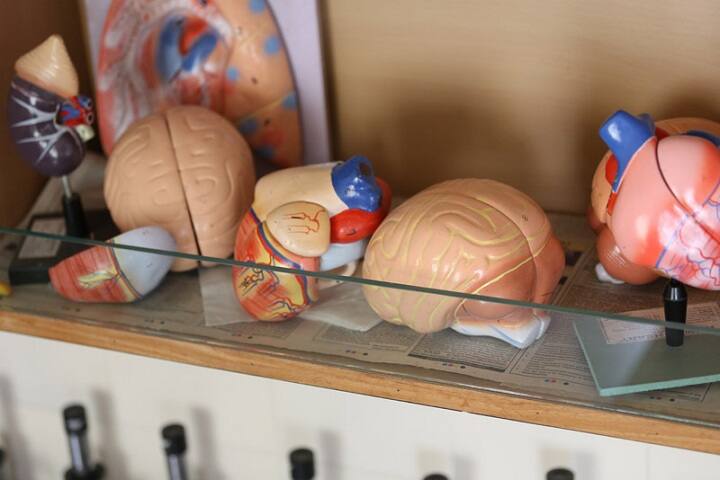 Vibgyor High, Marathahalli, Bangalore: Admission, Fee, Affiliation