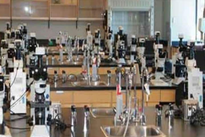 Chrysalis High, Varthur, Bangalore: Admission, Fee, Affiliation