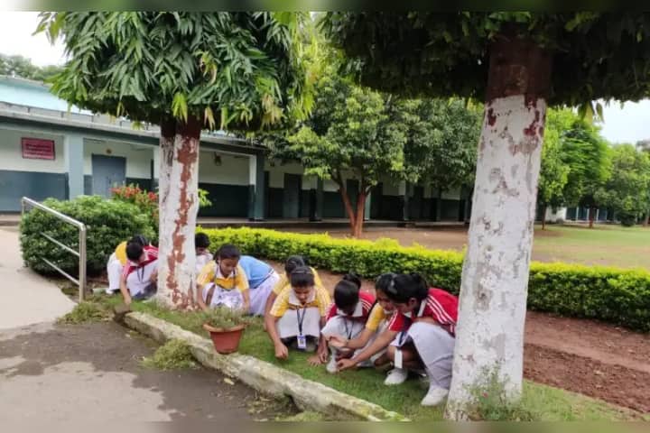 Ispat English Medium School, Sector-20, Rourkela: Admission, Fee ...