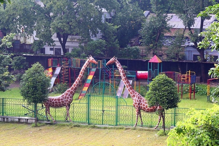 St. Joseph's Academy, Dehradun, Dehradun: Admission, Fee, Affiliation