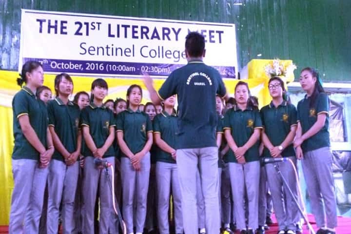 Sentinel College, Phungrietang, Ukhrul: Admission, Fee, Affiliation