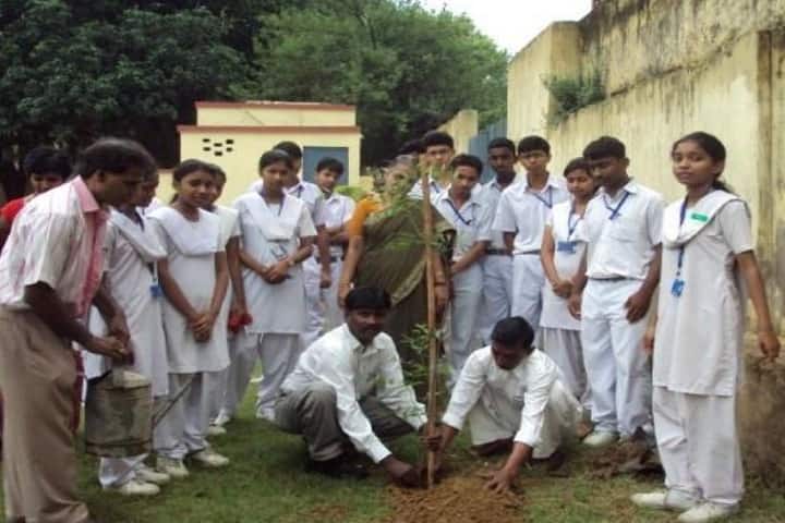 Delhi Tamil Education Association Senior Secondary School, Lodhi Estate ...