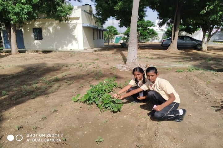 The First School, Thoppampatti, Coimbatore: Admission, Fee, Affiliation