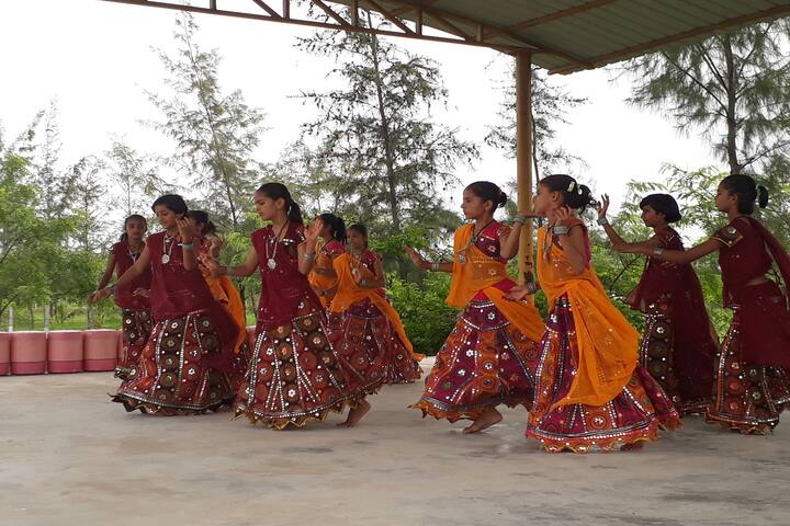 Jawahar Navodaya Vidyalaya, Vadnagar, Mehsana: Admission, Fee, Affiliation