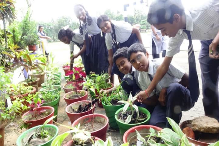 Jawahar Navodaya Vidyalaya, Alappuzha, Alappuzha: Admission, Fee ...