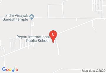 Pepsu International Public School, Devigarh Road, Patiala: Admission ...