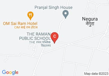The Raman Public School Negura, Chandauli: Admission, Fee, Affiliation