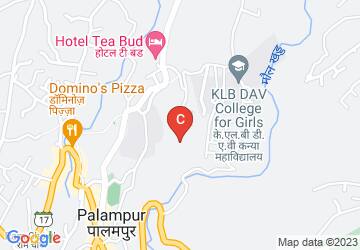 DAV Public School Palampur, Kangra: Admission, Fee, Affiliation